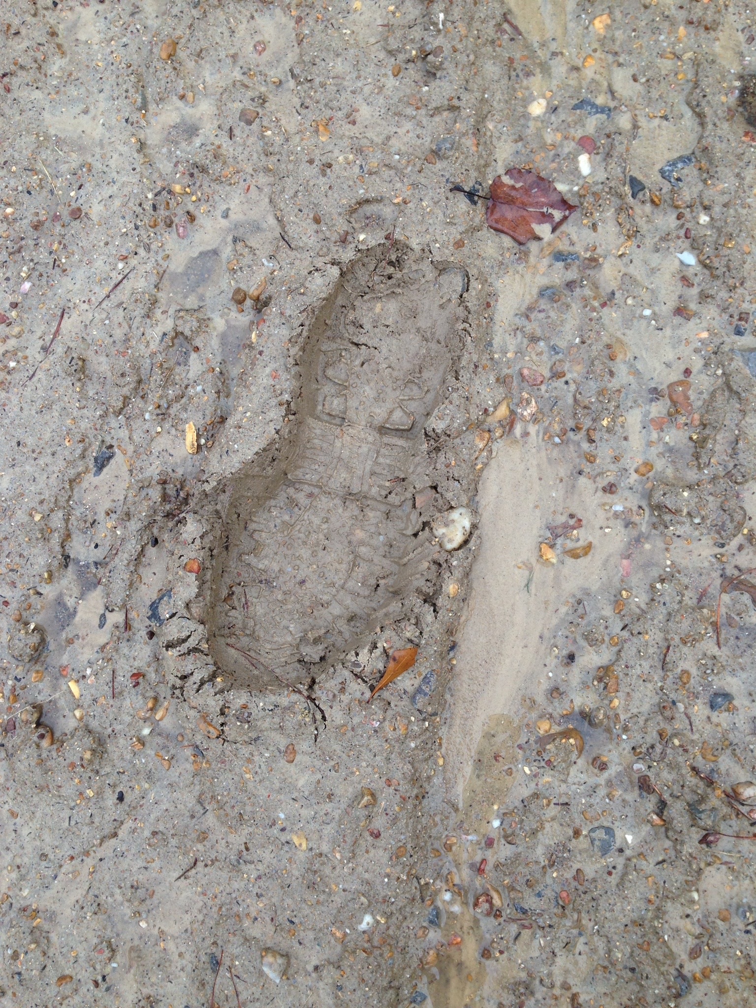Photo of human footprint on a ground free image download