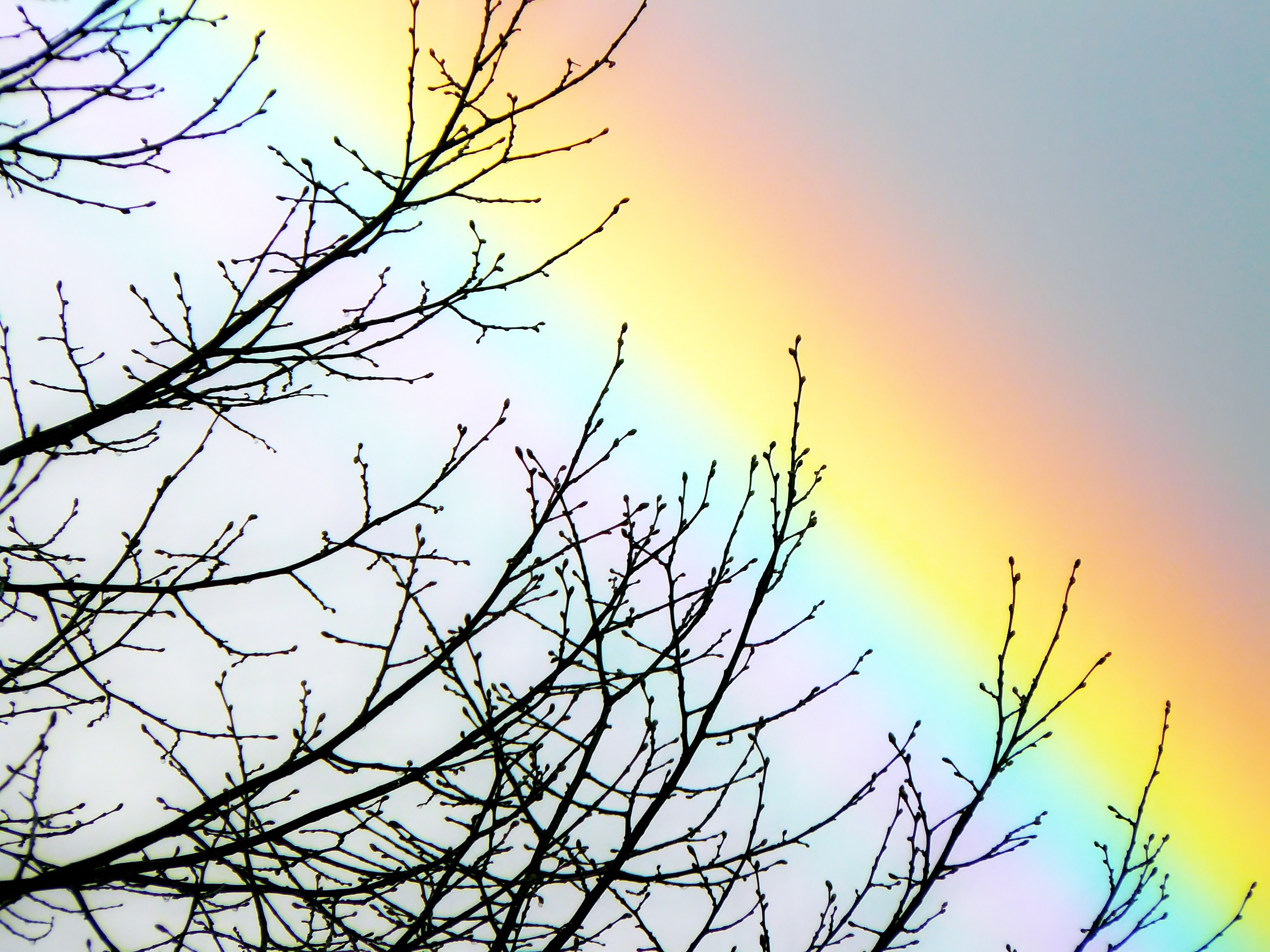 Rainbow Spectrum free image download