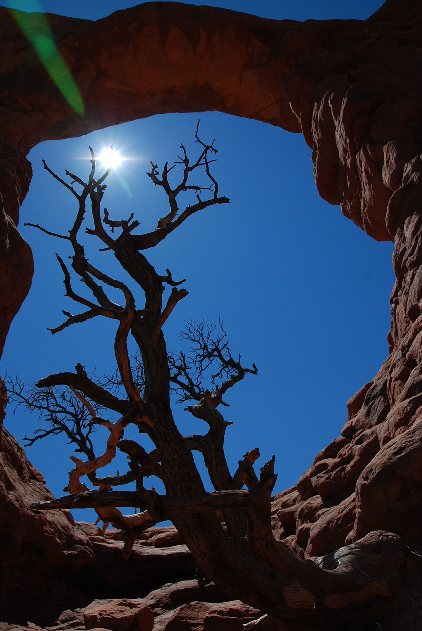 Stone arch in arches national park in utah free image download