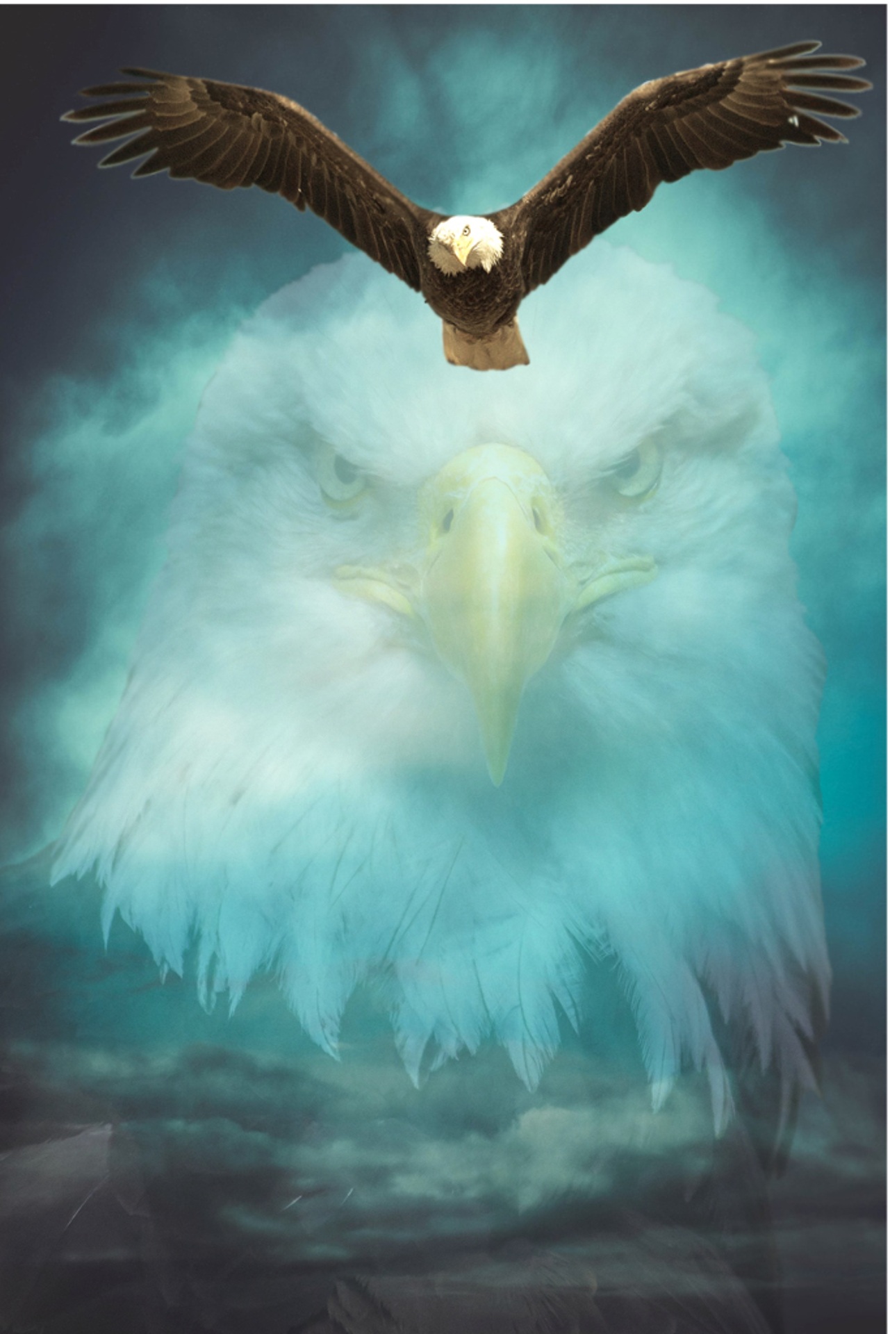 Drawing of Adler fly by Water free image download