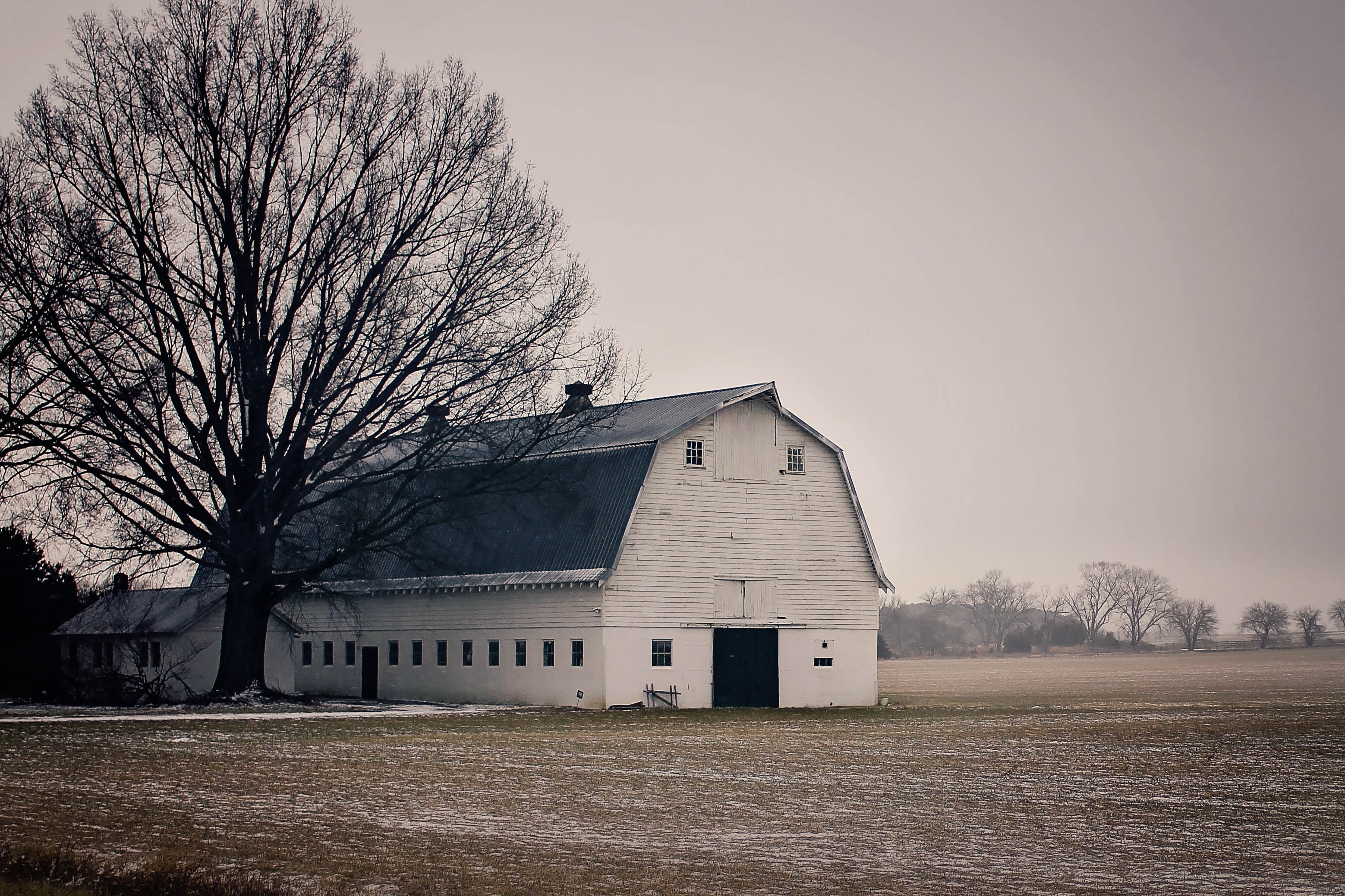 Buildings of a farm among the field free image download