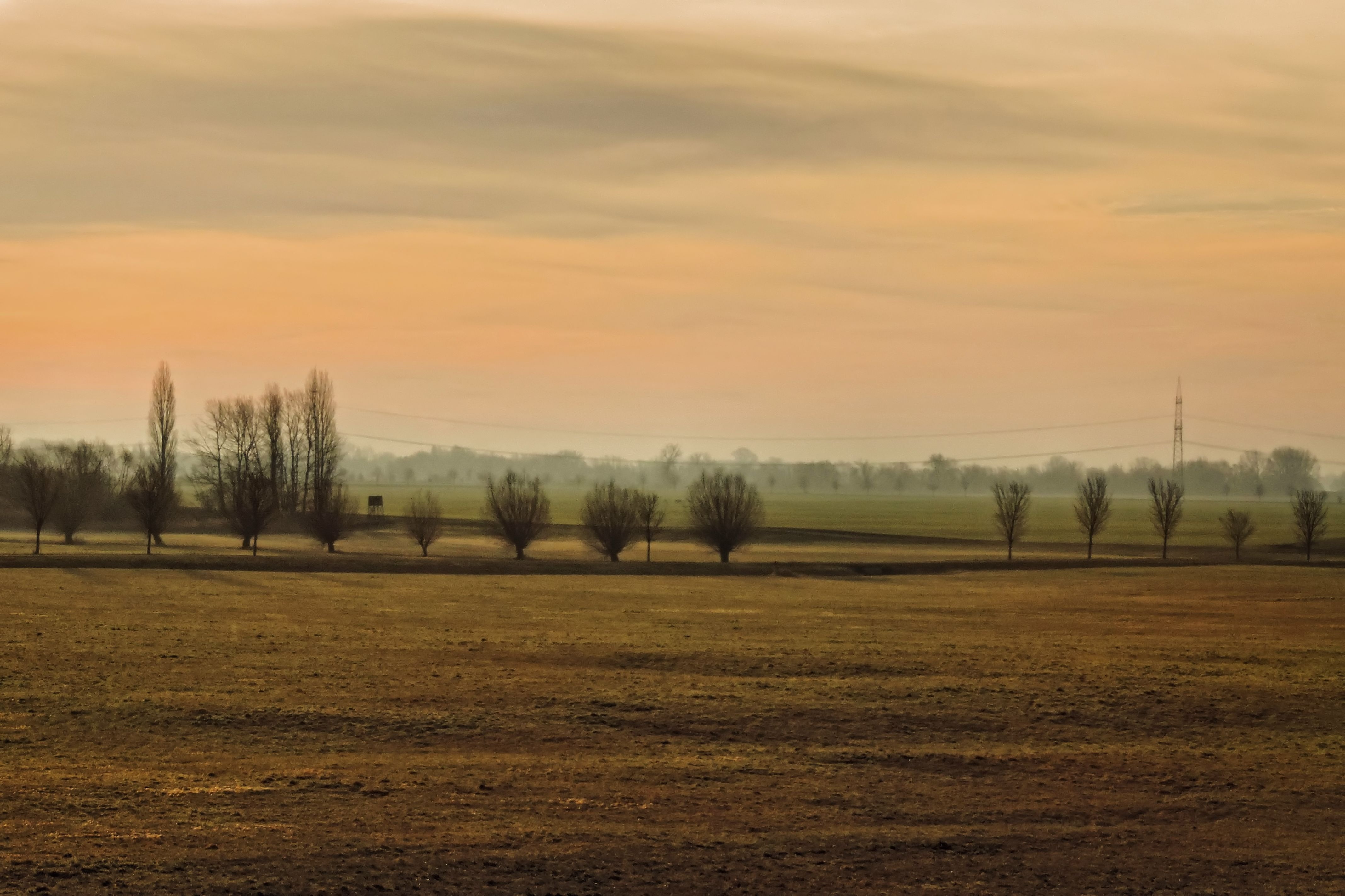 Sunrise over fields with trees in the countryside free image download