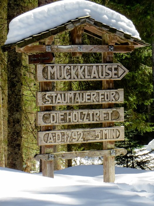 Direction shield in the winter forest free image download