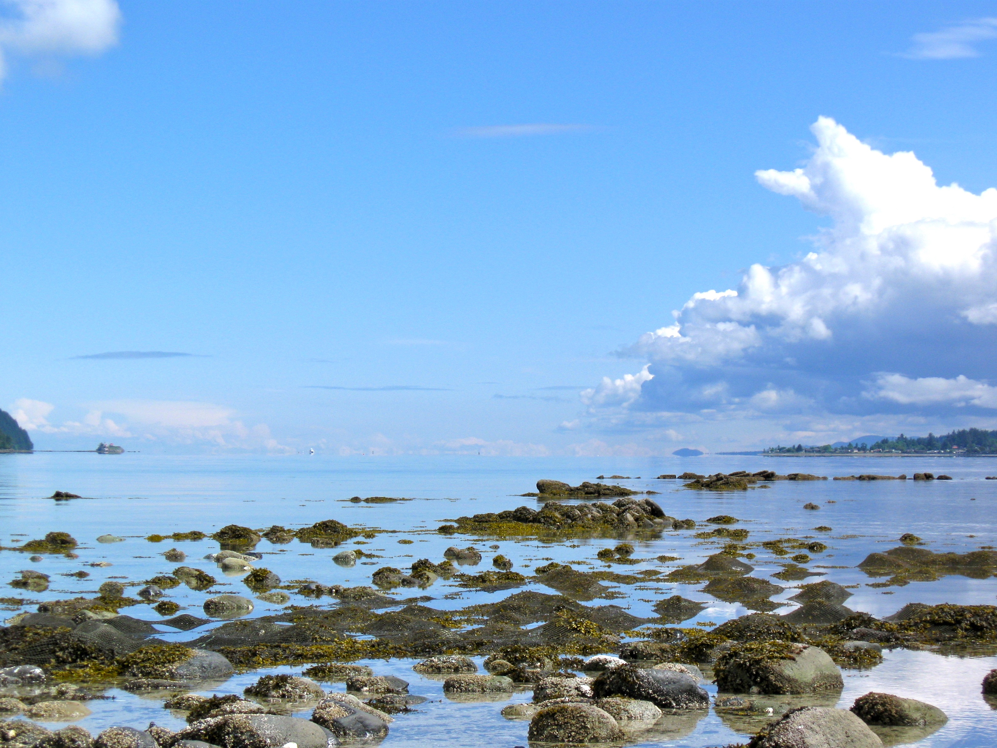 Landscape with Salish Sea free image download