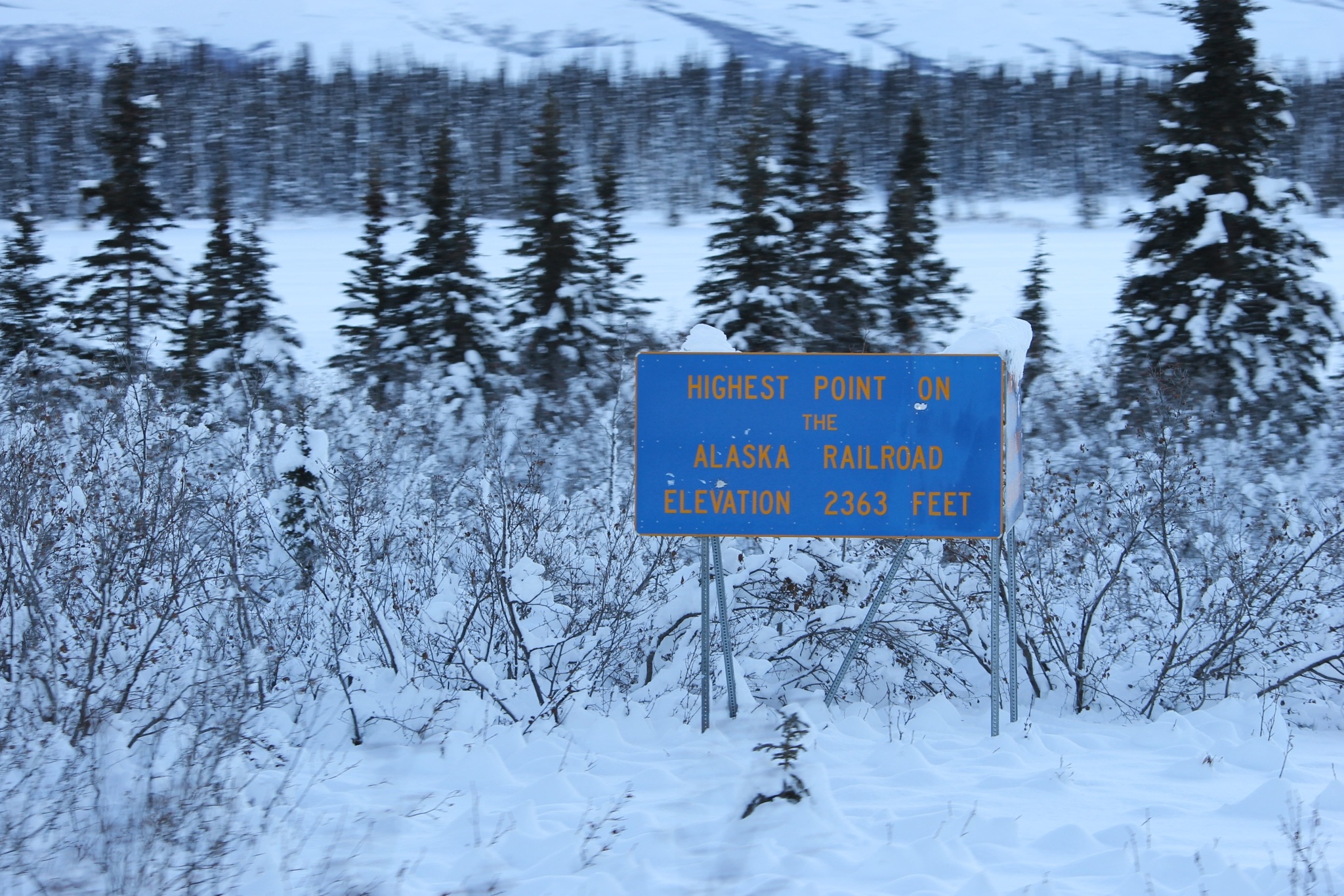 Alaska forest sign free image download