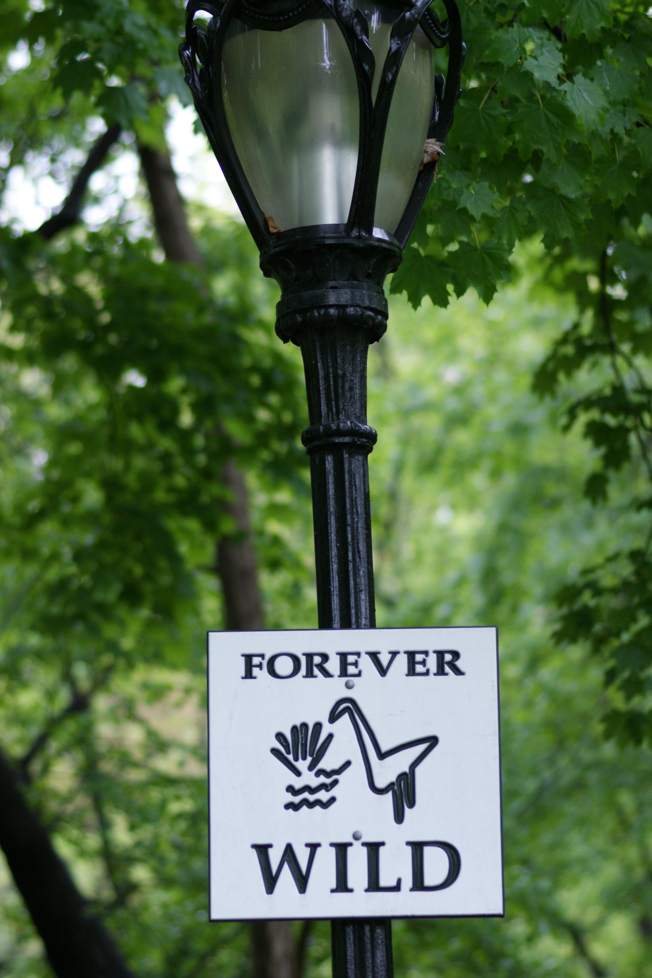 Forever wild sign in the park free image download