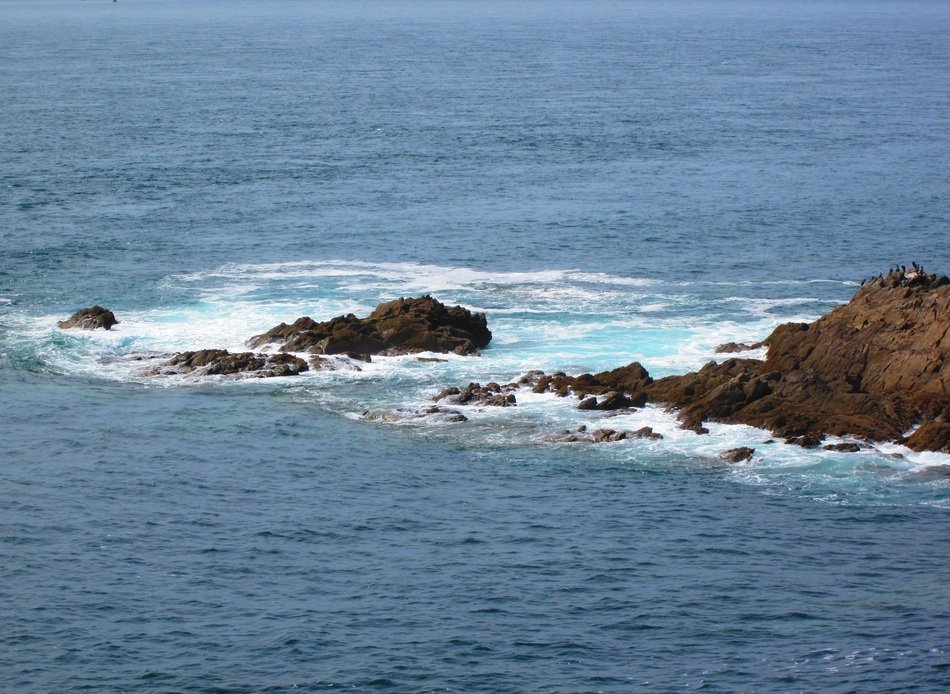Wild ocean coast free image download