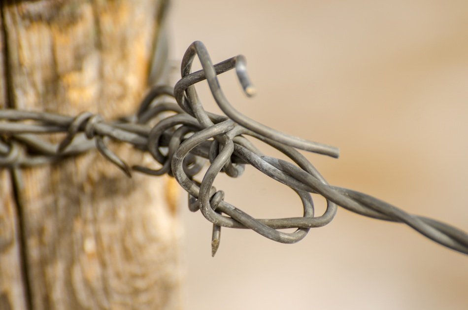Barbed wire for protection free image download