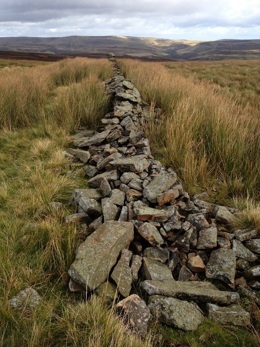 Narrow path made of stones in the countryside in britain free image ...