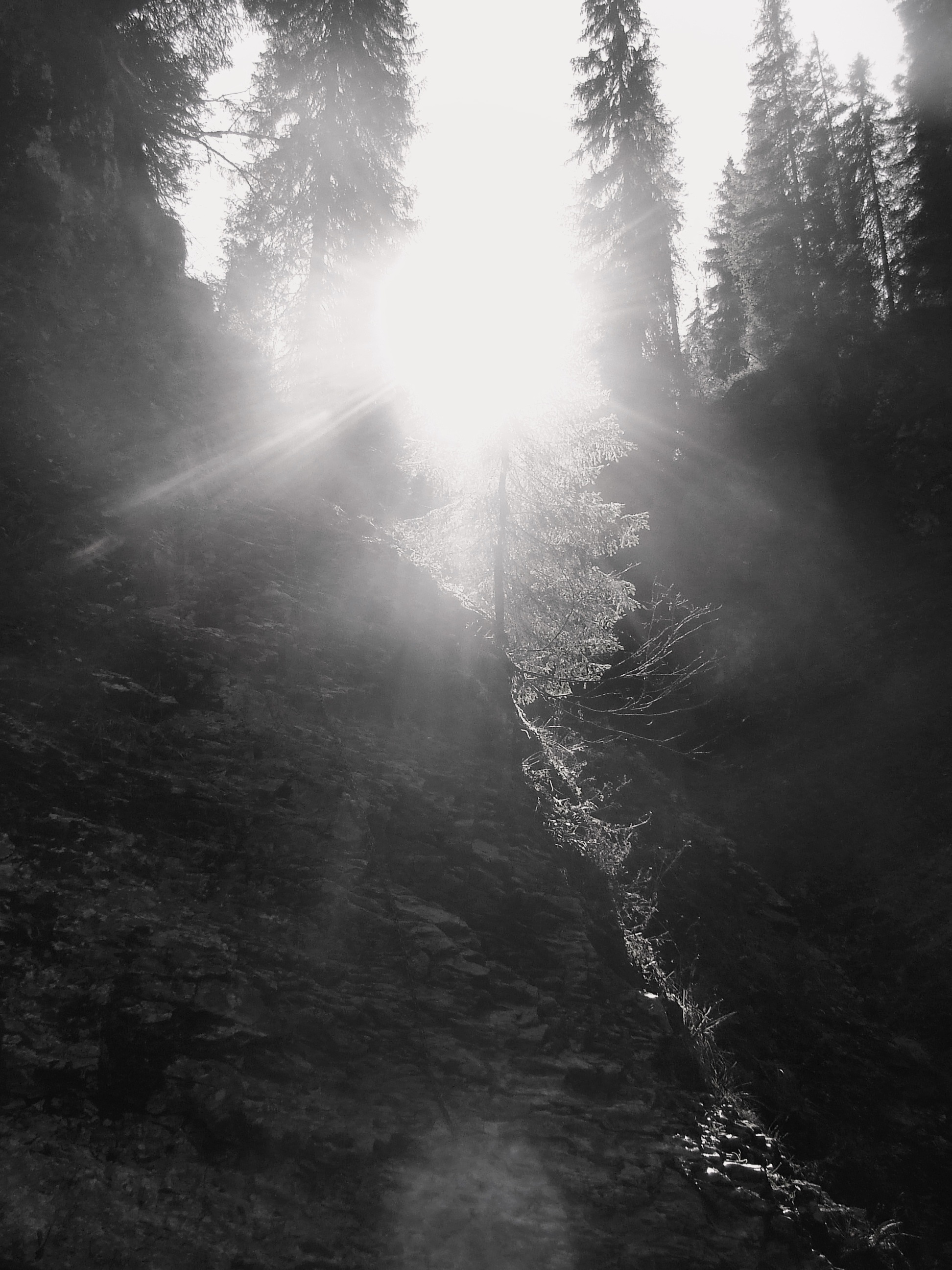 Light on the beautiful Bihar Mountains in Transylvania, Romania free ...
