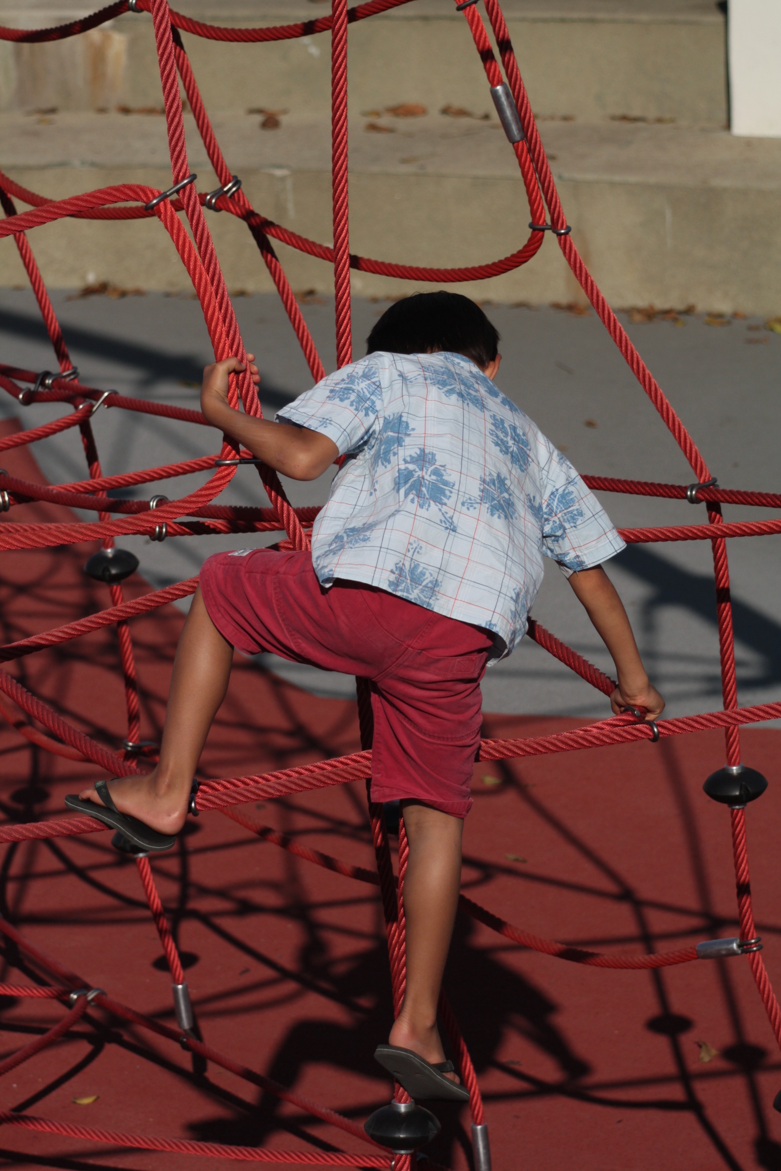 Child on the ropes at the playground free image download