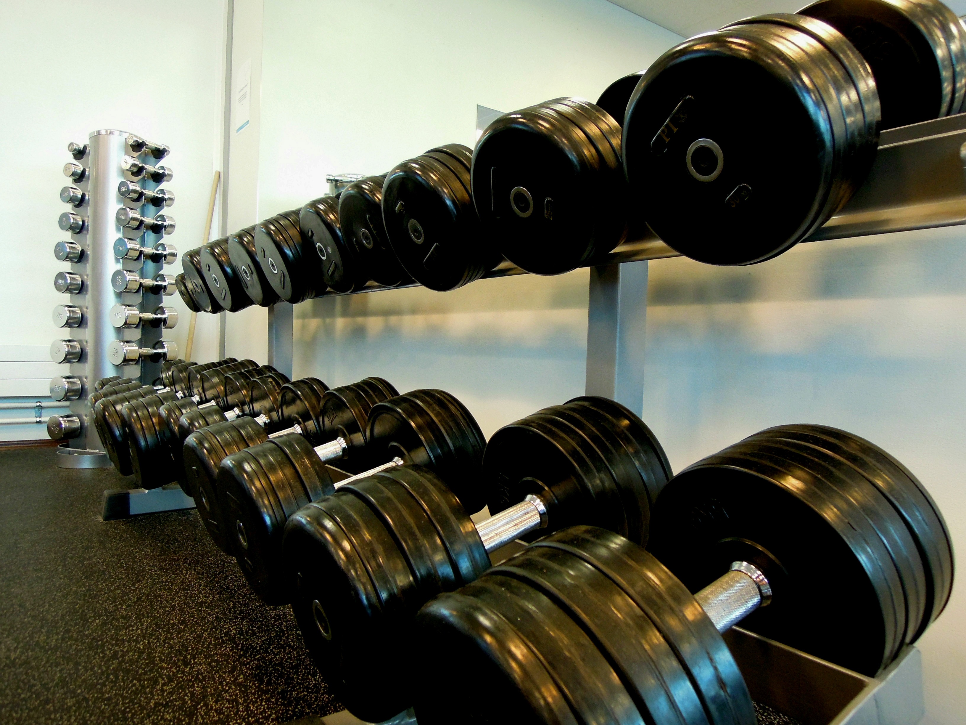 Heavy weights on shelves in the gym free image download