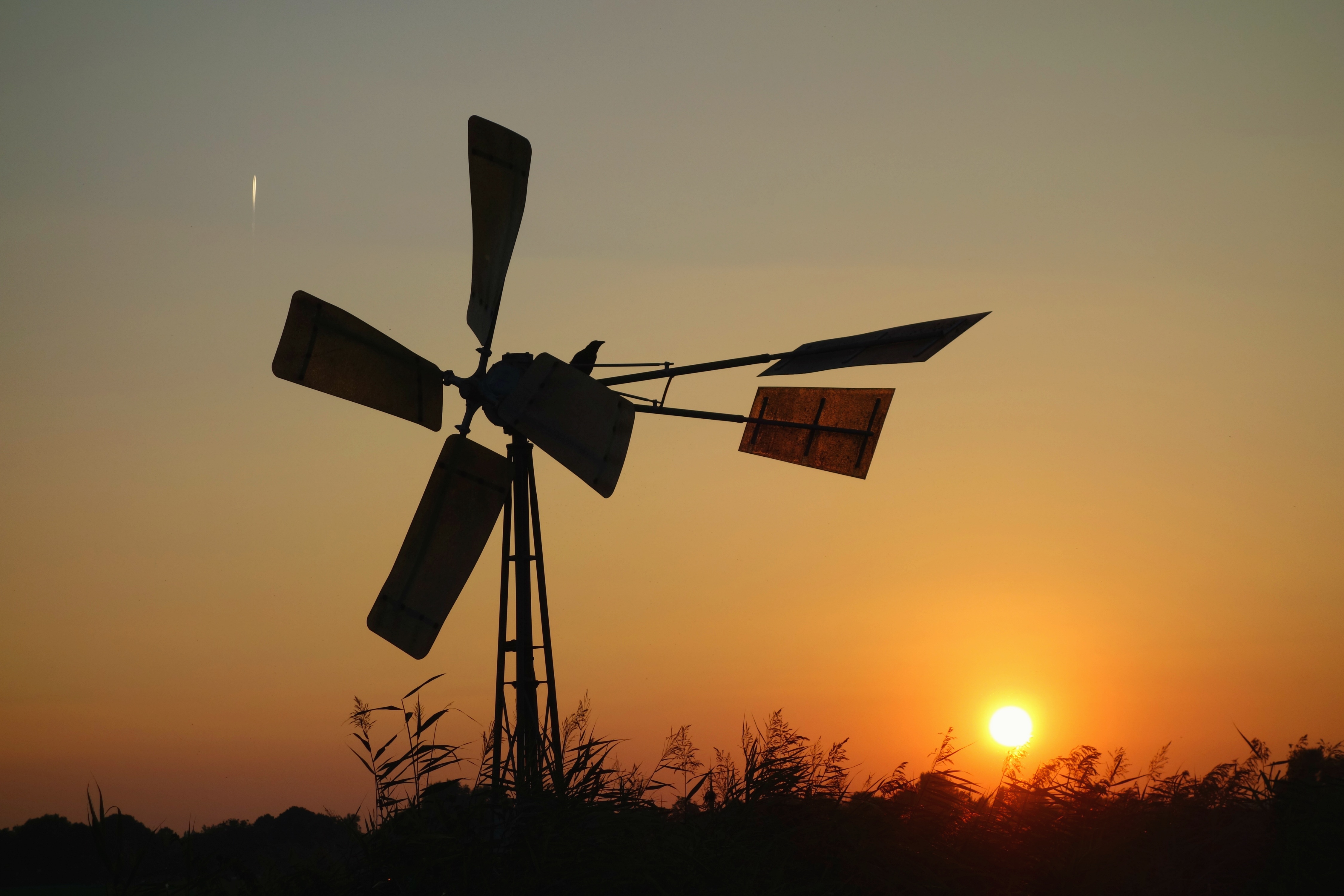 Lovely Windmill free image download