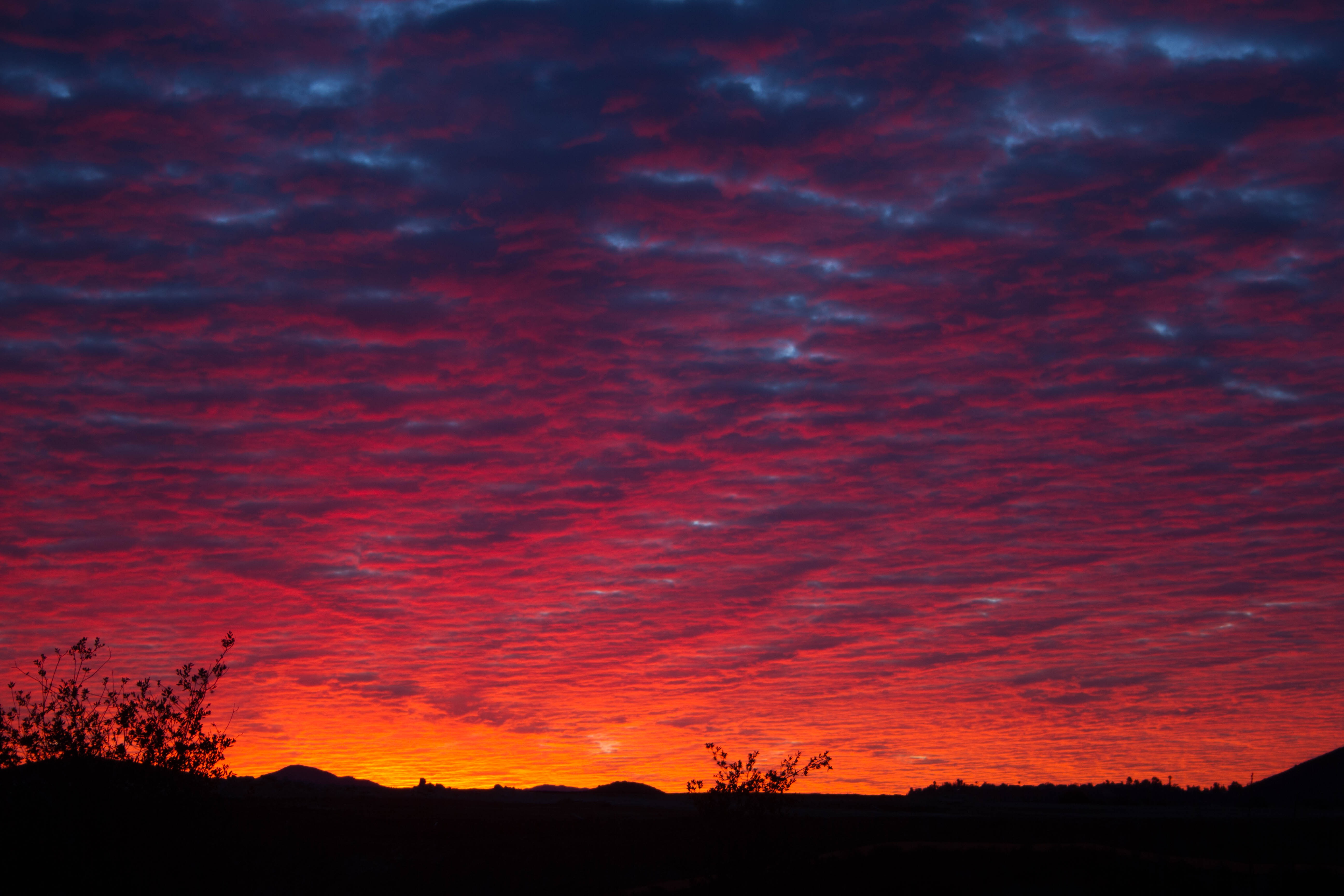 Red and blue sky over a field with plants free image download