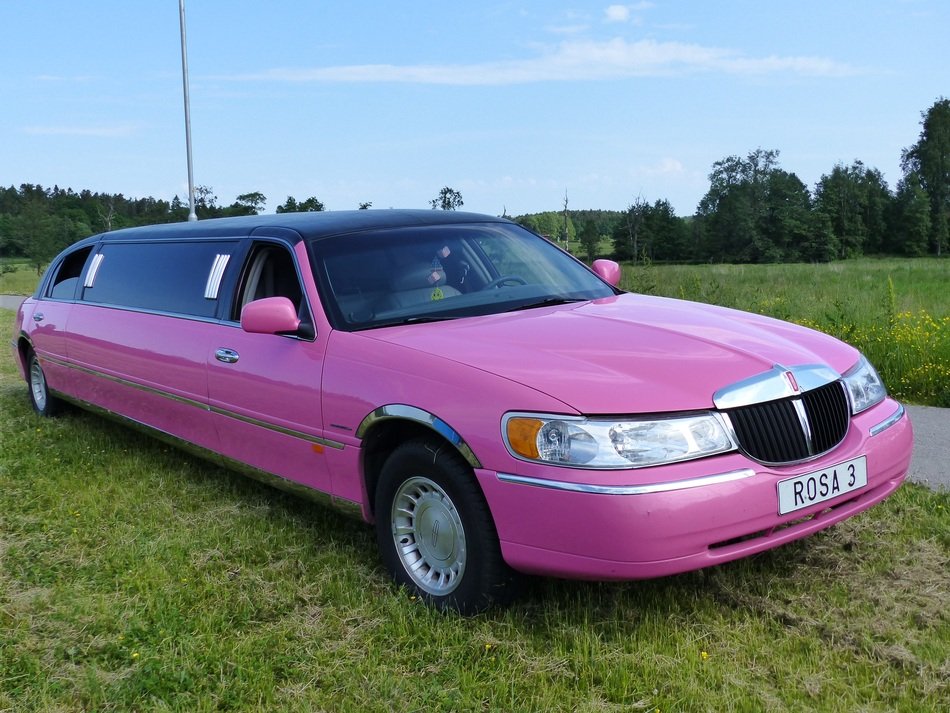 Photo of pink limousine car on a grass free image download