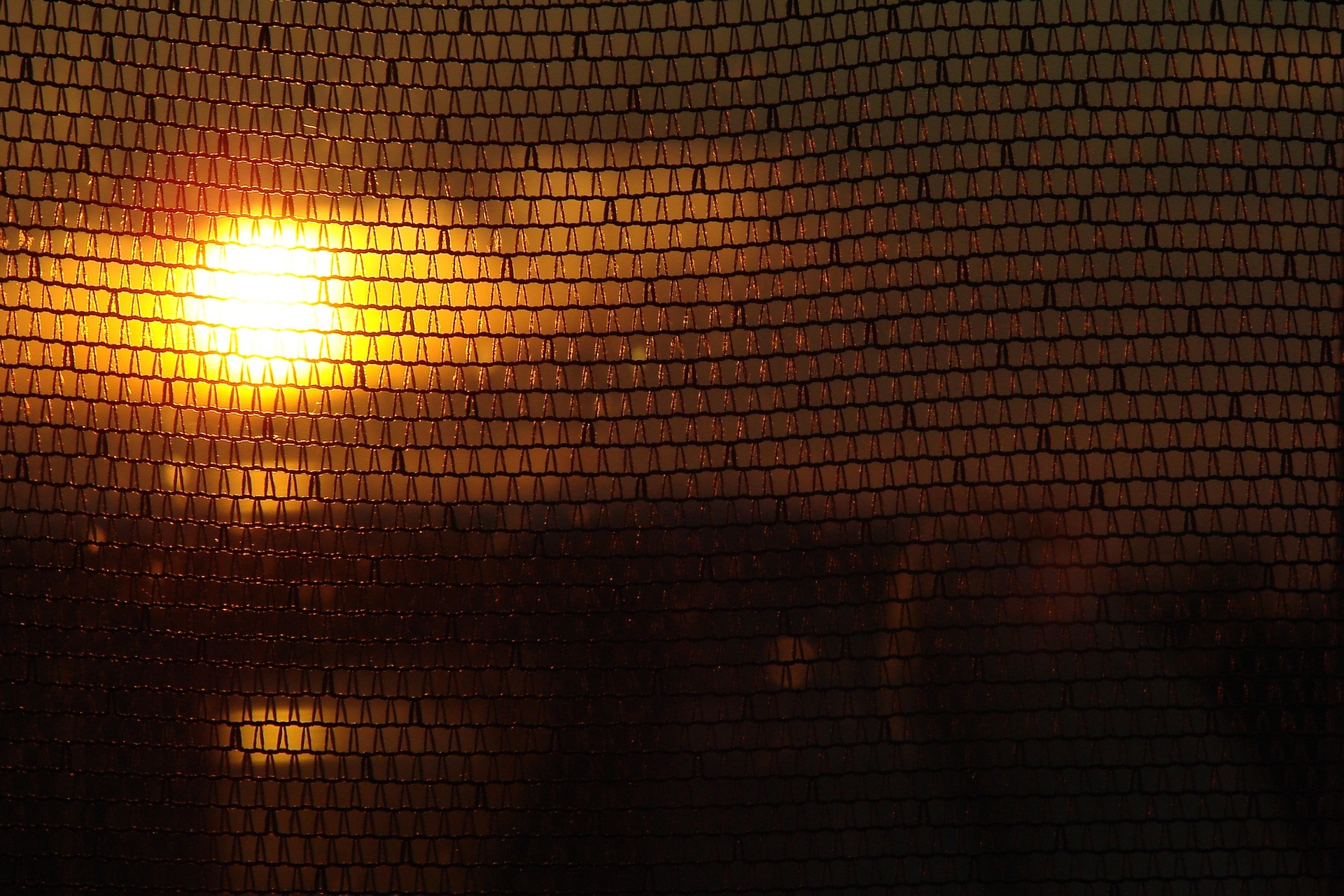 Orange sunset through the grid free image download