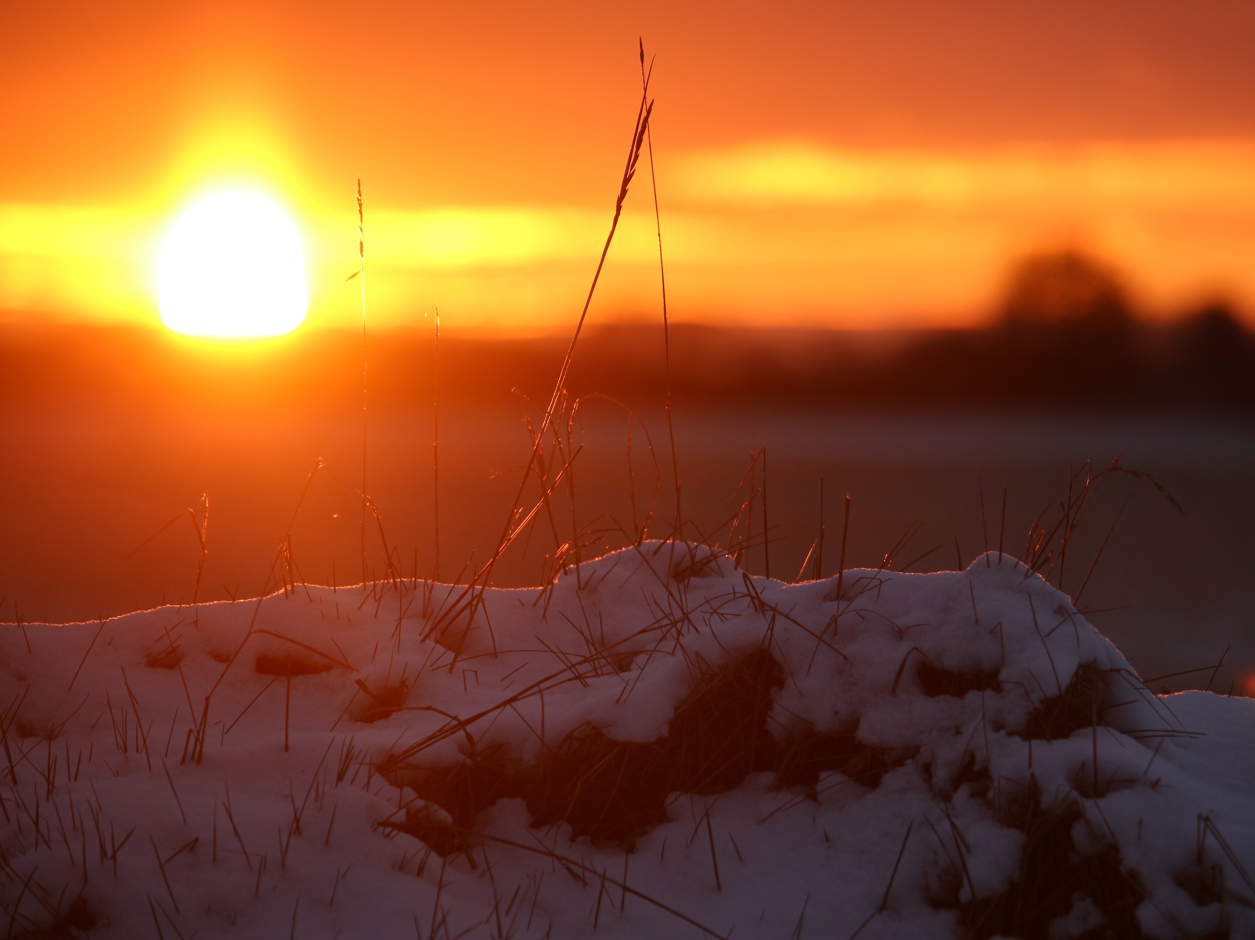 Winter Snow Evening Sky free image download