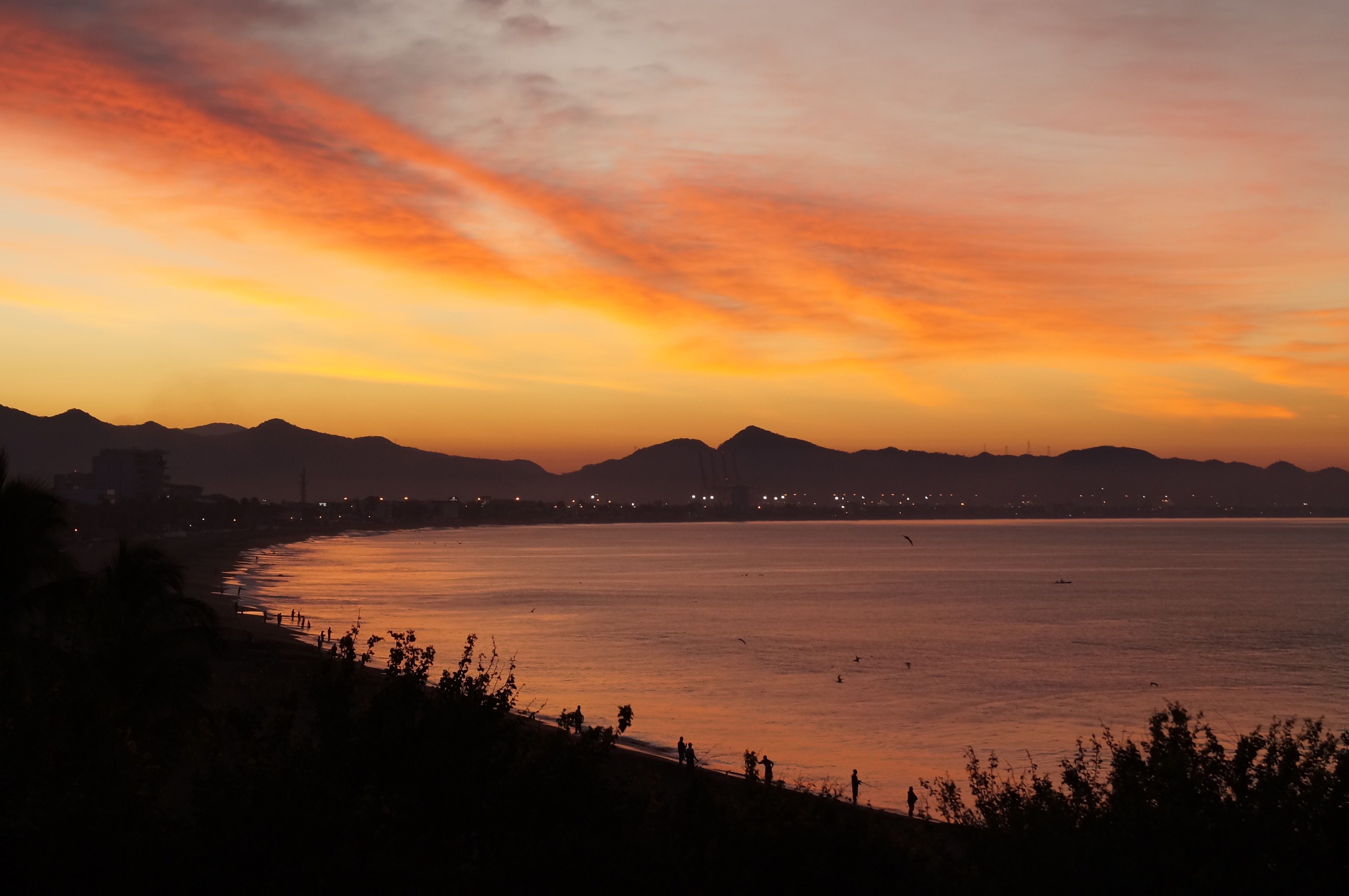 Manzanillo Beach free image download