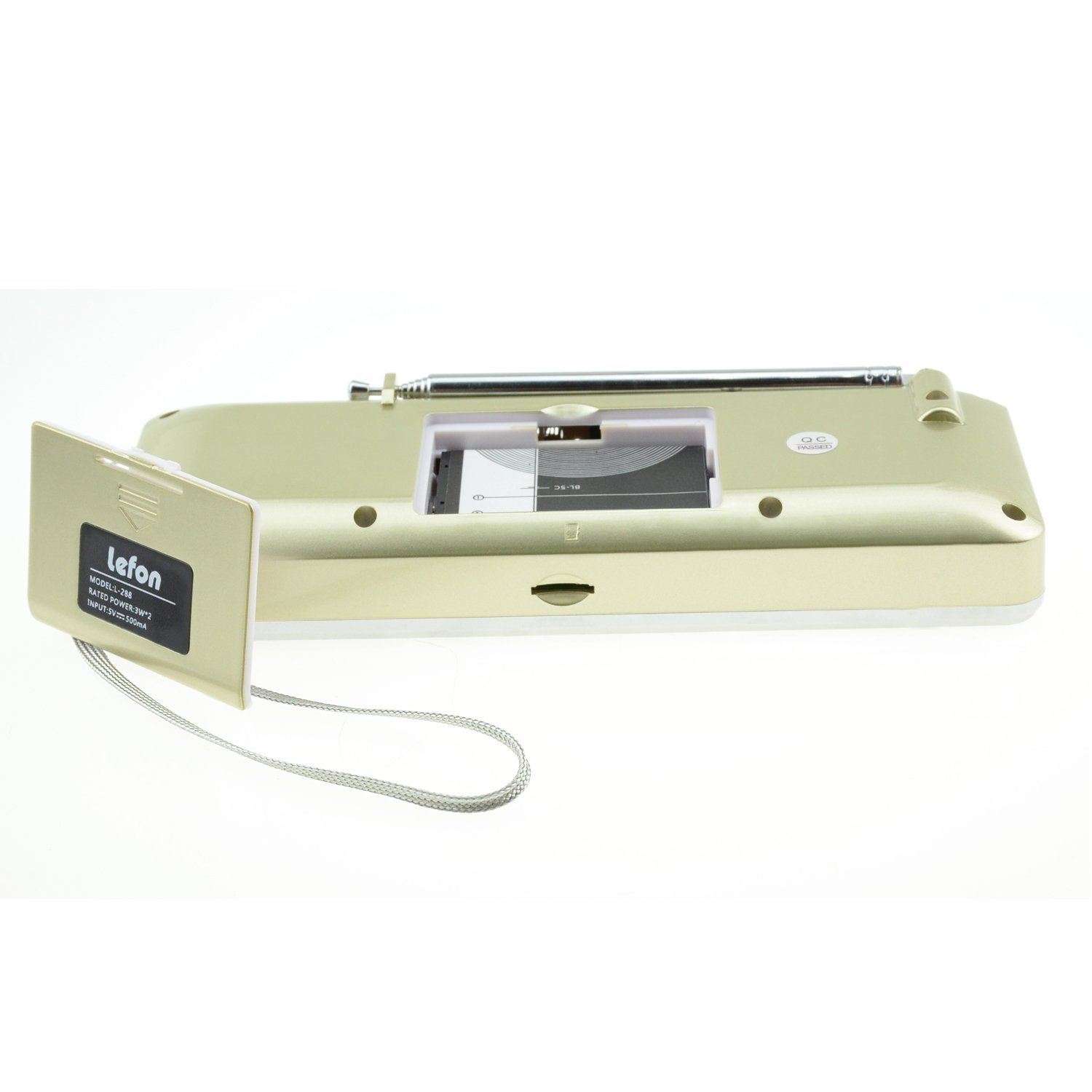 LEFON Multifunctional Bluetooth Dual Channel Digital AM / FM Radio ...