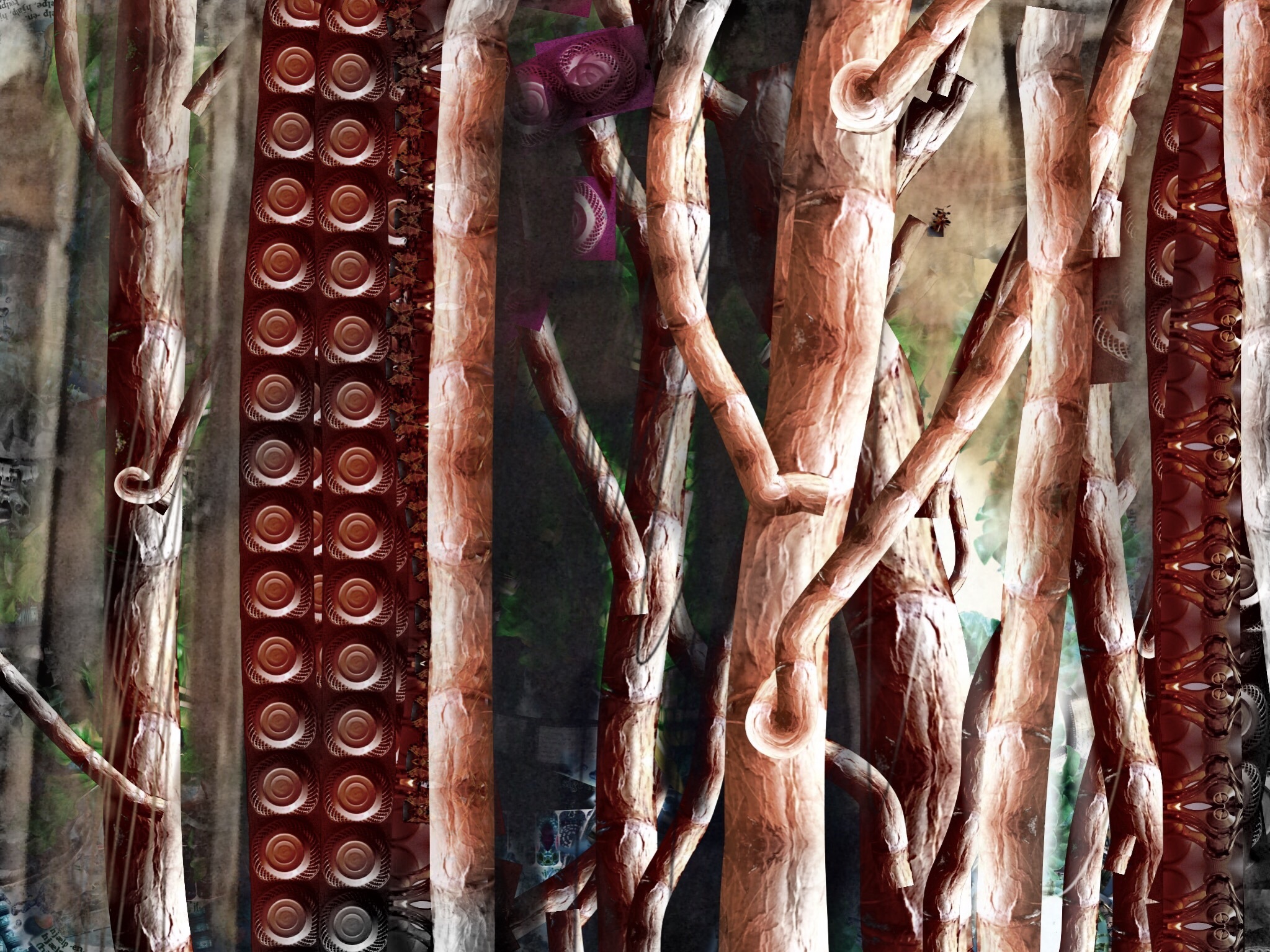 Forrest forest collage autumn free image download