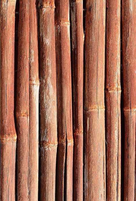 Bamboo stem pattern free image download