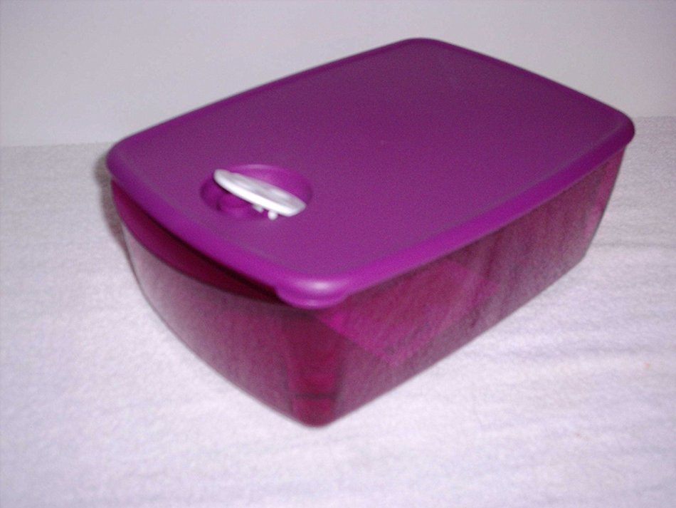 Tupperware Rectangular Rock N Serve 3 3/4qt. Rhubarb N2 free image download