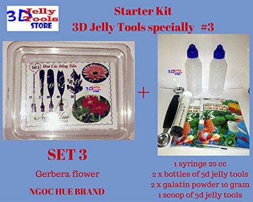 Starter Kit 3D Jelly Tools specially Type 3 - Gerbera flower - Gelatin ...