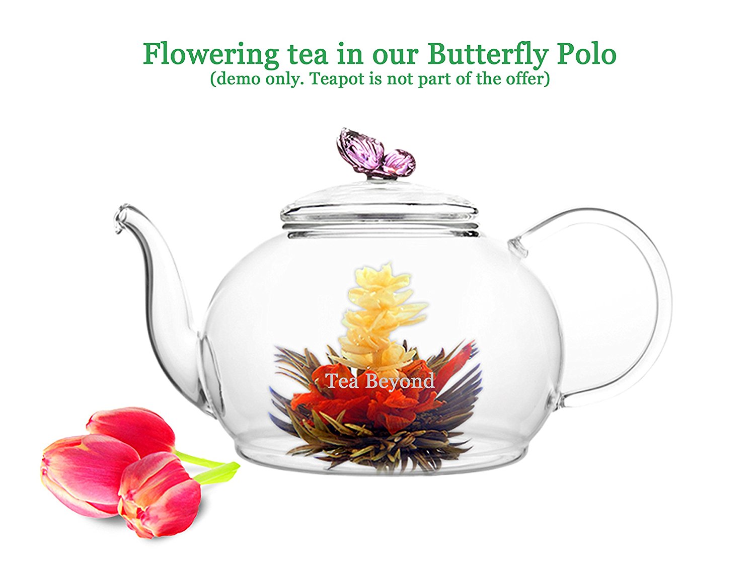 Tea Beyond FLS-3SET-BLF2100 12-Pack Fab Flowering Blooms Tea N13 free ...