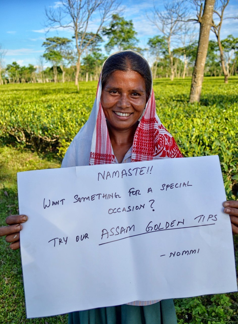 Malty Assam Golden Tips Loose Leaf Black Tea - Rare Tippy Second Flush ...