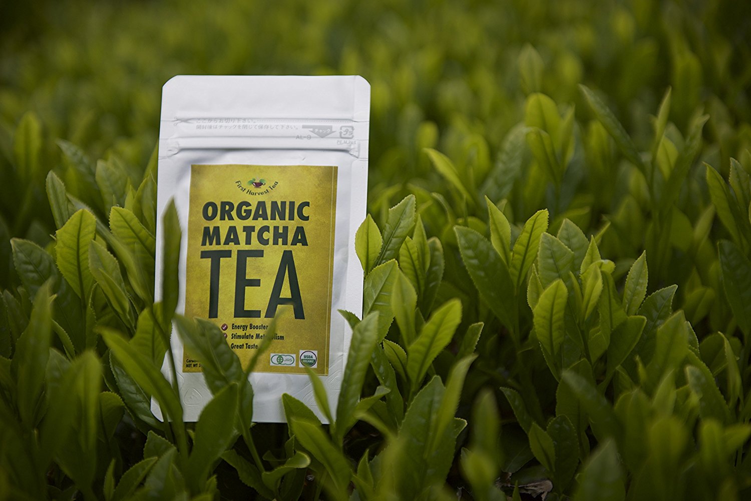 First Harvest Ceremonial Grade Organic Japanese Matcha Green Tea Powder ...