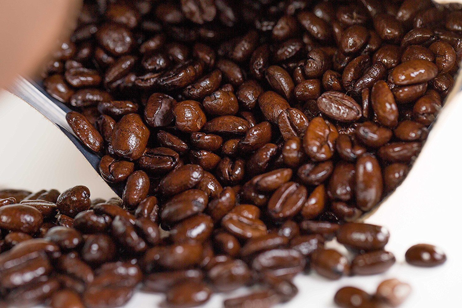 DARK COSTA RICAN 'TARRAZU' Whole Bean Coffee | 1 LB Bag | Premier ...