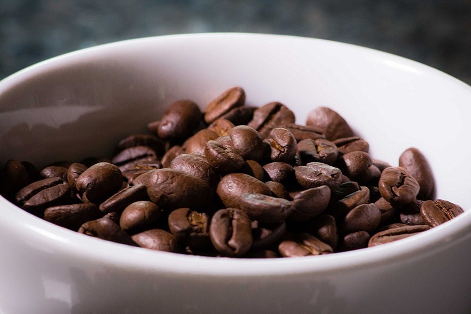 Jungle Coffee Beans | Costa Rican Organic Dark Roast Whole Bean (1 lb ...