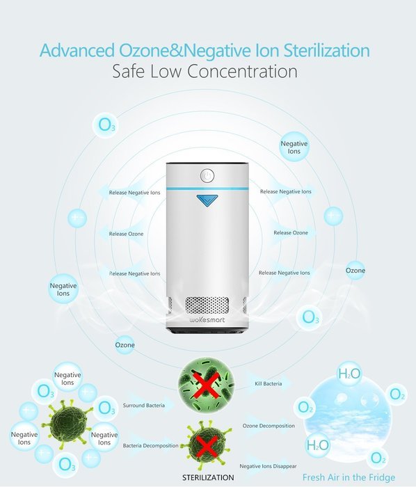 Wokesmart Refrigerator Deodorizer, Ionizer Air Purifier, Fridge Ionic ...