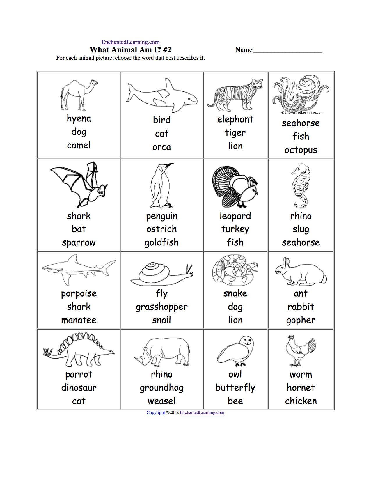 Animals Worksheets Printable drawing free image download