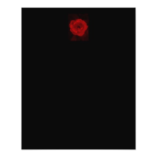 Rose Red Color free image download