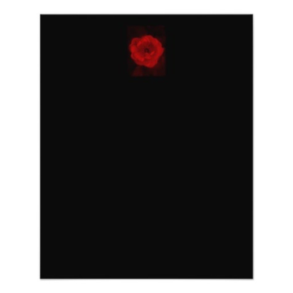 Rose Red Color free image download