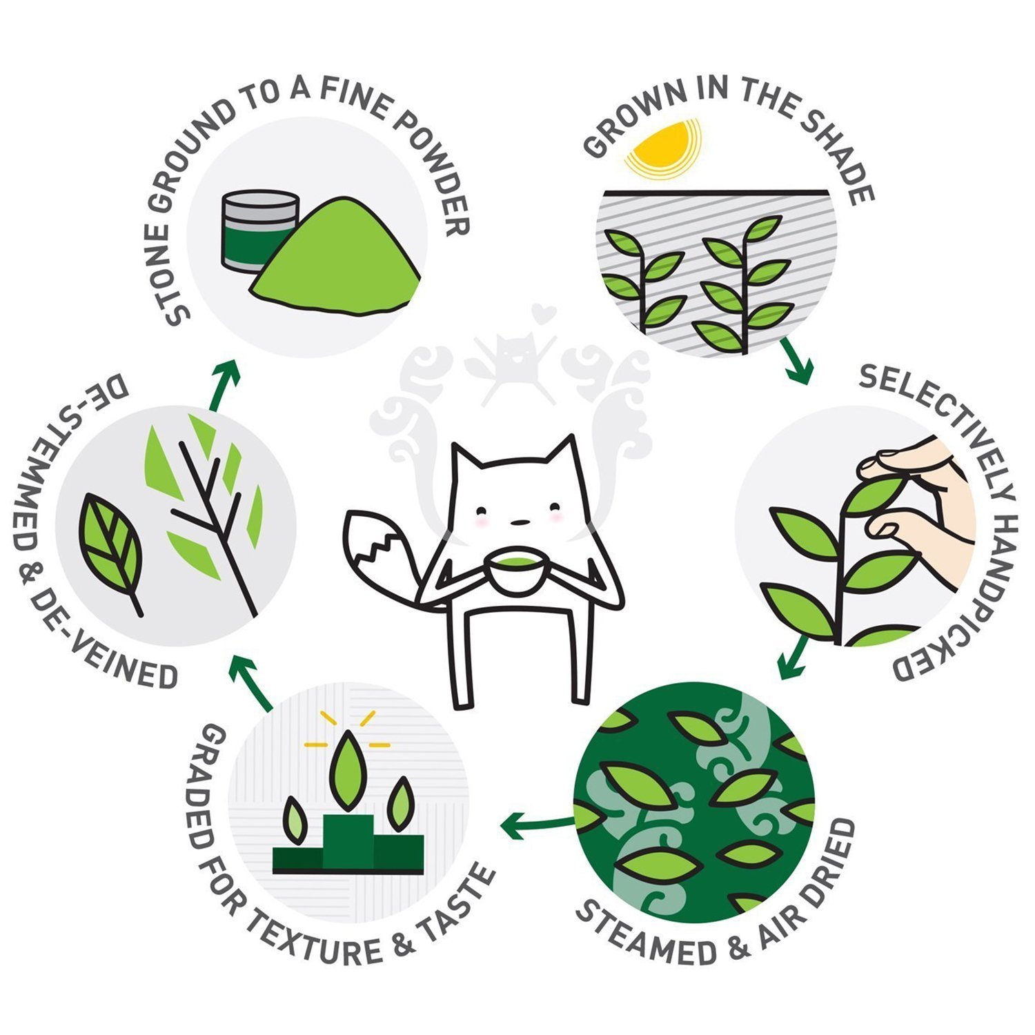 JadeVale Matcha Green Tea Powder - Premium Culinary Grade - USDA ...