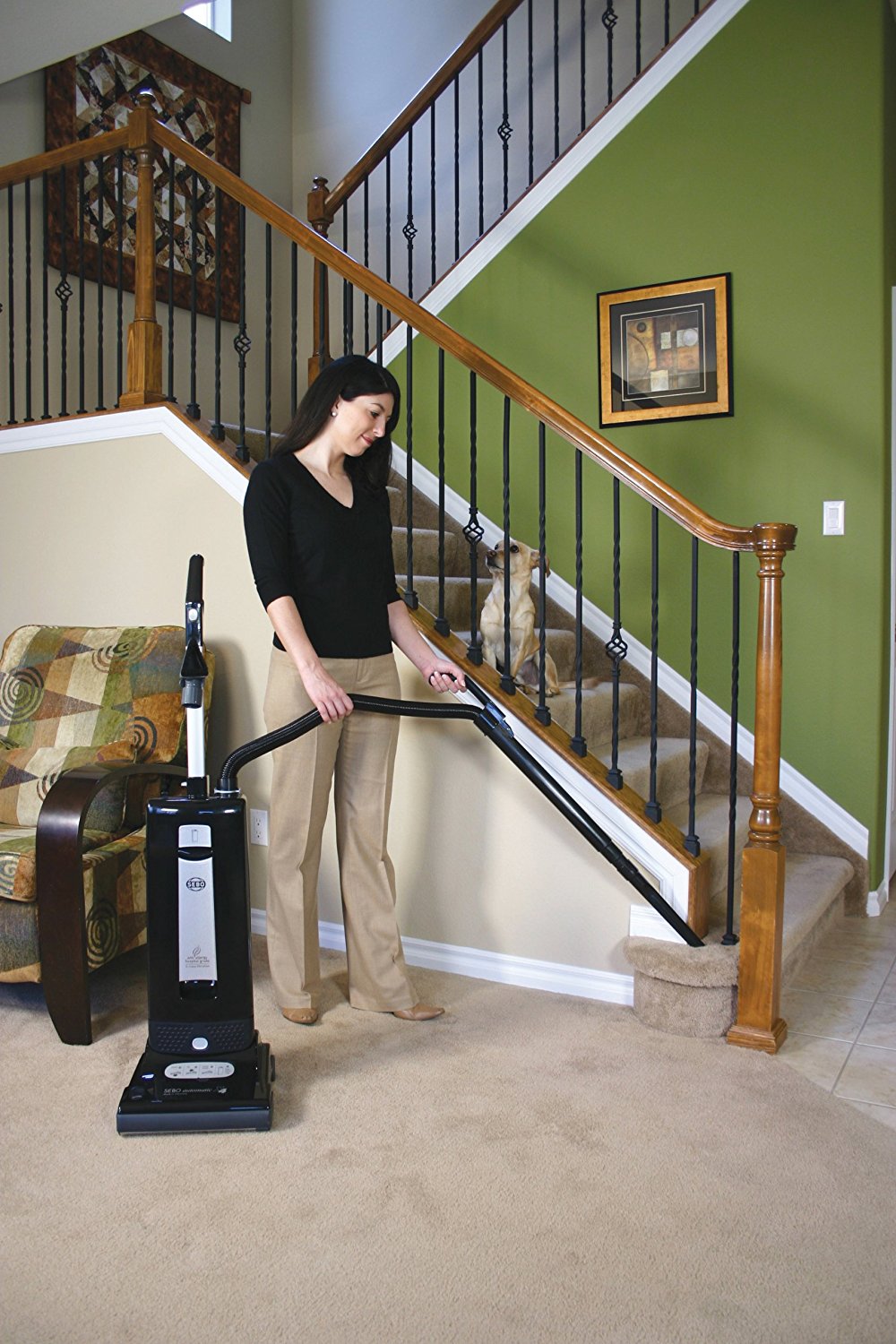 SEBO 9577AM Automatic X4 Upright Vacuum, Blue/Yellow - Corded N5 free ...