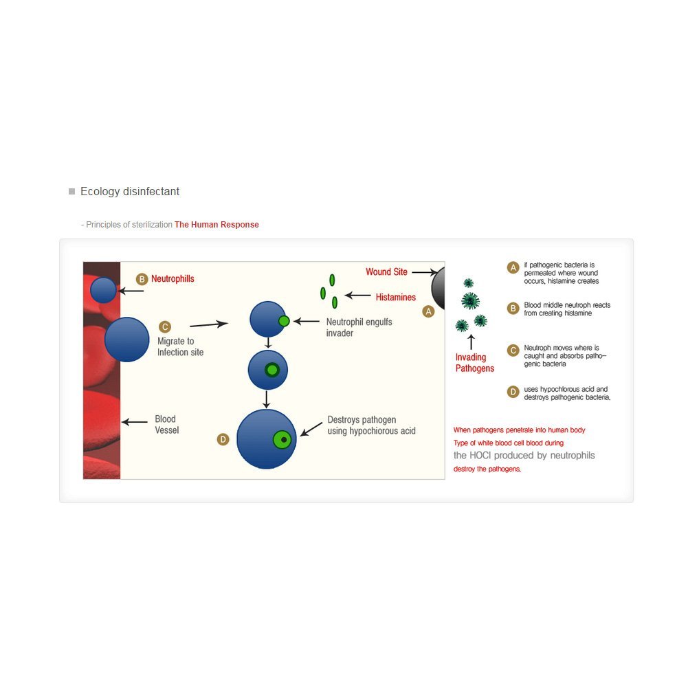 PURIER Eco-Powder Food Cleaner Purifier Eco-Friendly Natural-Materials ...