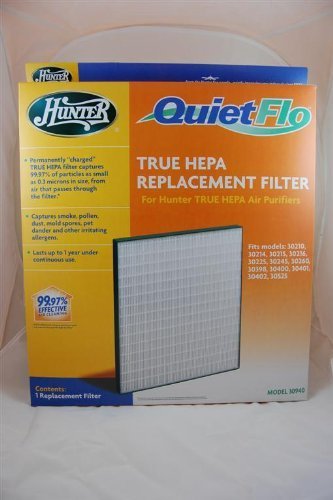 Hunter 30940 True HEPA Replacement Filter (3 Pk) free image download
