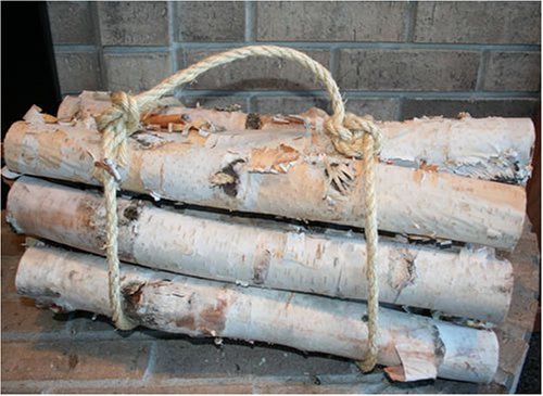 Roped Bundle of Birch Logs free image download