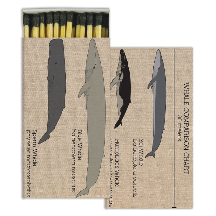 Matches - Whale Chart (Set of 3) N2 free image download