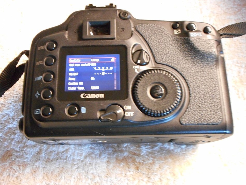 Canon EOS-10D DSLR Camera (Body Only) N3 free image download