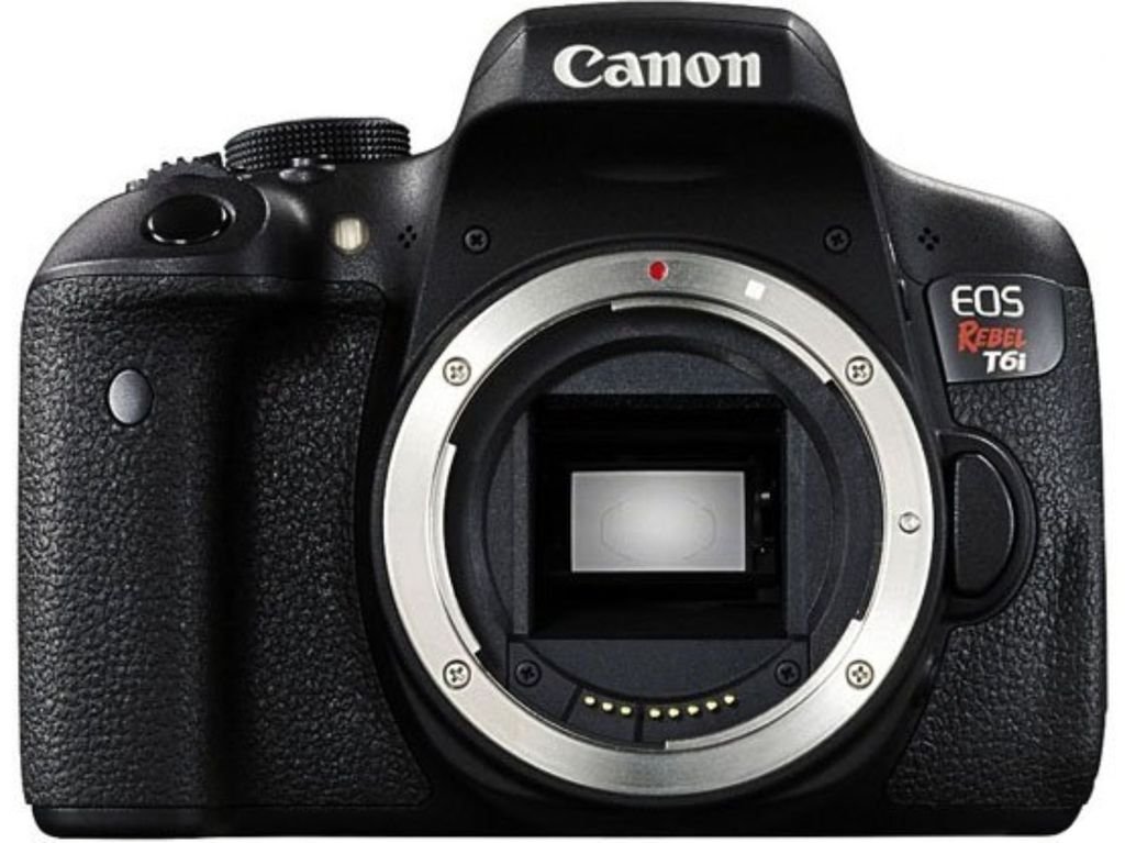 Canon EOS T6i DSLR Camera Kit + Canon EF 24-105mm L (Glass Element ...