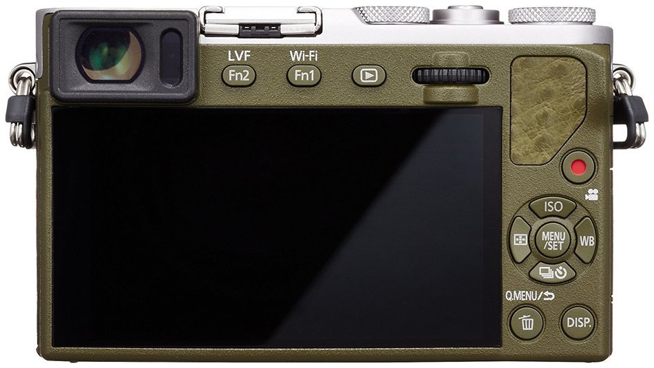 Panasonic LUMIX DMC-GM5 DSLM Mirrorless Camera with Eye Viewfinder, 12 ...