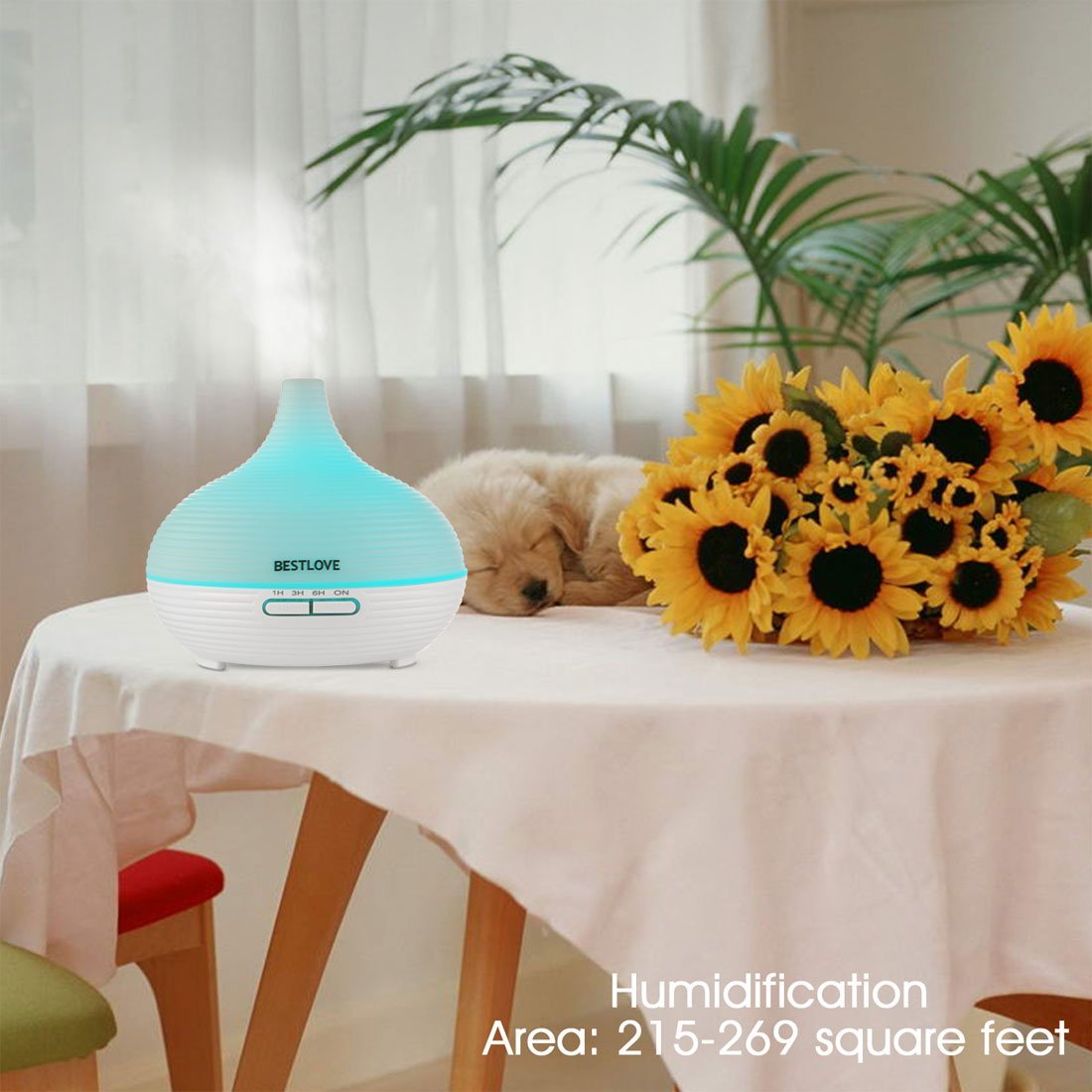 Bestlove Aromatherapy Essential Oil Diffuser Portable 300ml Ultrasonic