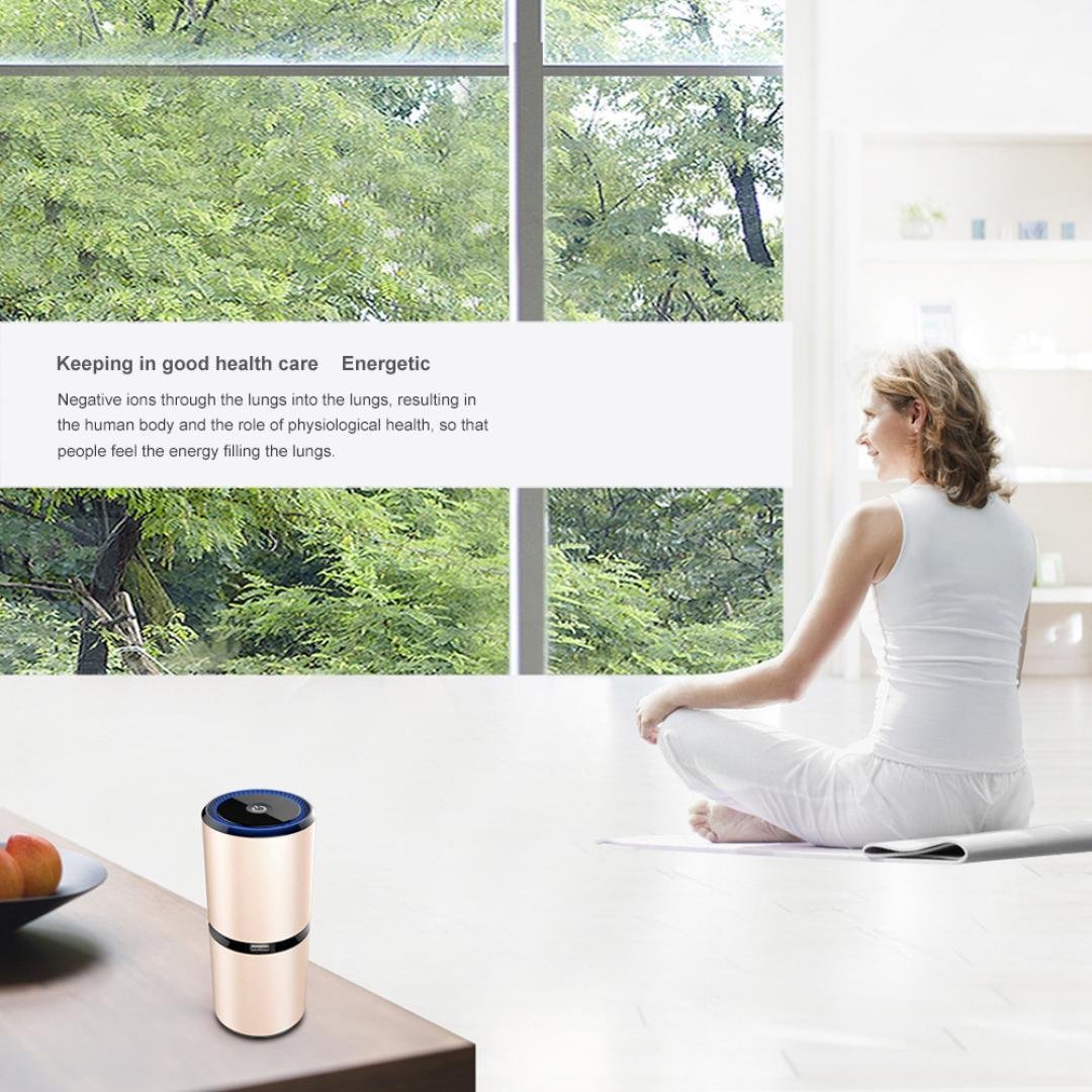 Becoler Car Air Purifier,Smart Car Air Ionizer, Ionic Purifier, Odor ...