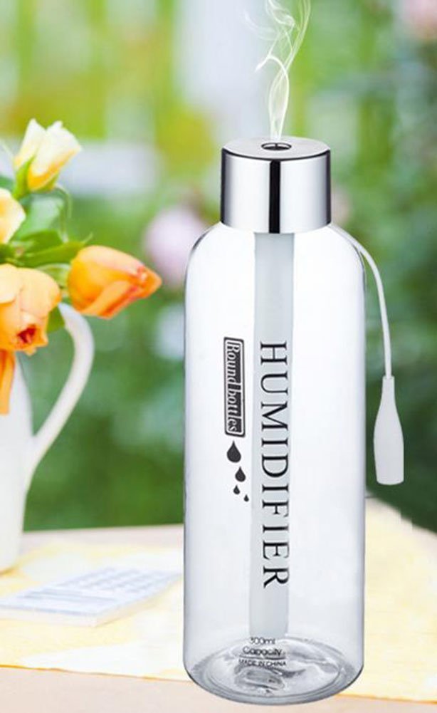 Gigibon Cool Mist Humidifier, Personal Essential Oils Diffuser ...