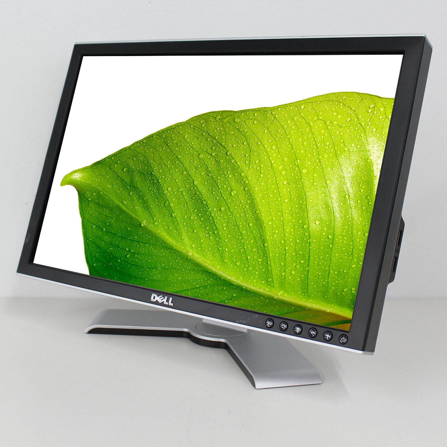 DELL 2007WFPB 20 WIDESCREEN FLAT PANEL MONITOR free image download