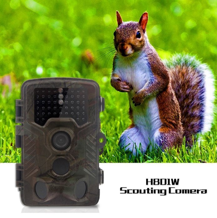 Blueskysea H801W 12MP 1080P HD Wildlife Camera Trail&Game Hunting ...